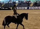 Video: Woman riding a horse at Hack Championships Lismore Showgrounds ...